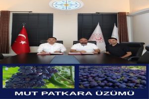 MERSİN MUT HABERLERİ - Mersin Mut Haberleri